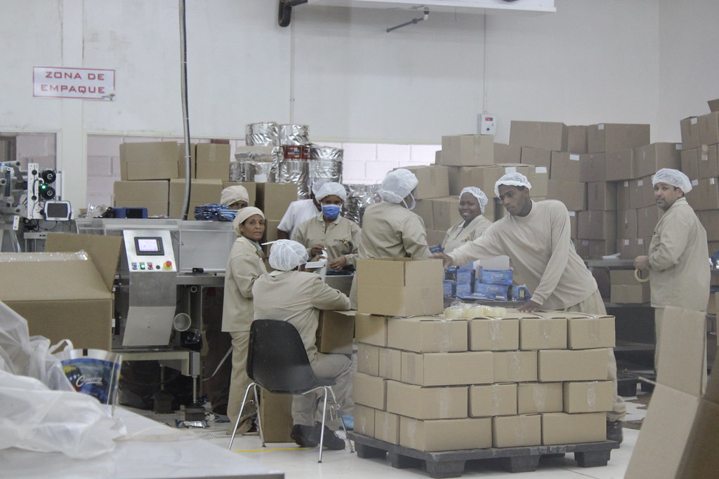 Different types of cocoa and their properties - Schoki Welt