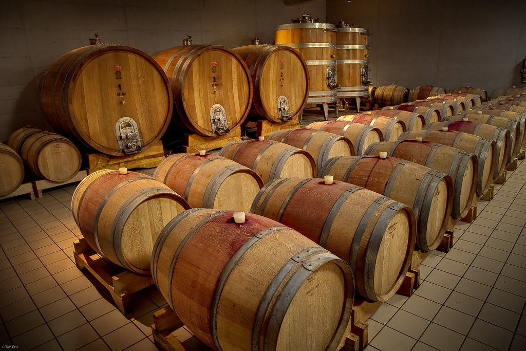 The relationship of fermentation on the taste of chocolate - Schoki Welt