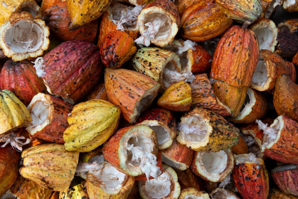 Different types of cocoa and their properties - Schoki Welt